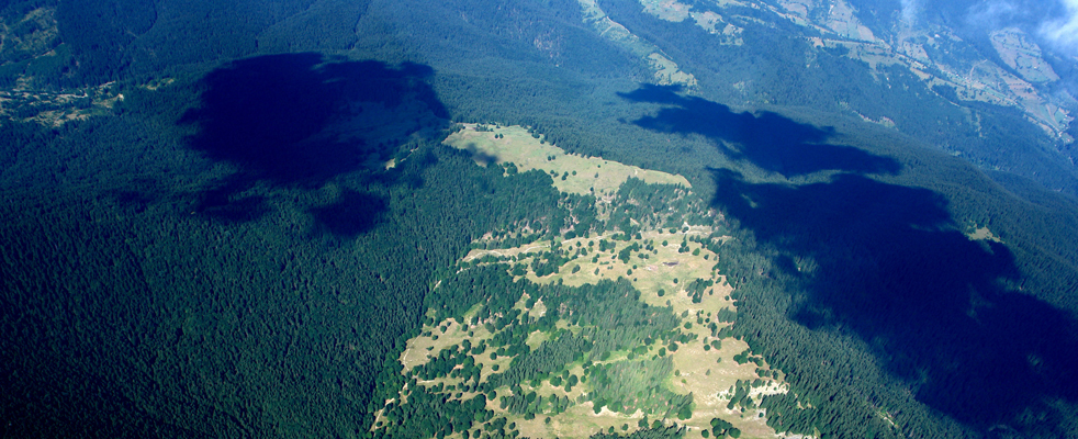 Primăria Tarcău - Site-ul oficial al comunei Tarcău județul Neamț